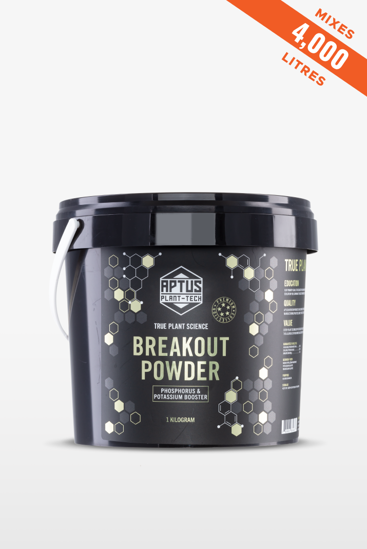 The CLEAN Program - Less Bottles. More Stability. – APTUS (AUS)